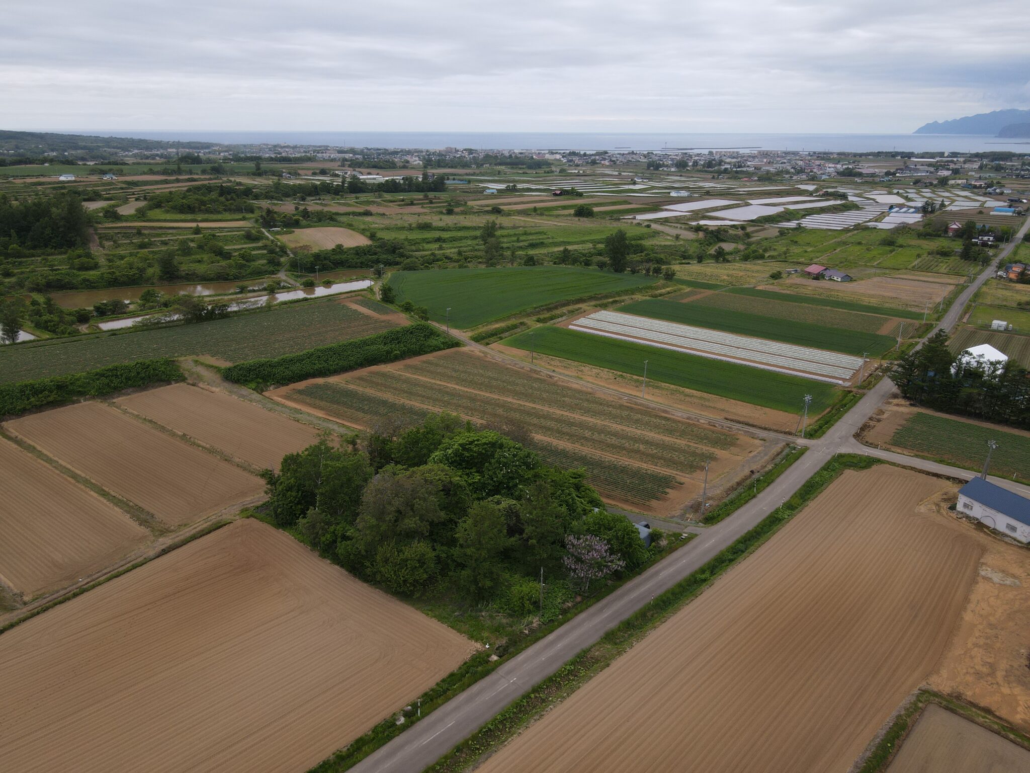 オススメ物件情報【価格改定 共和町 古家付土地】 - danshakupro